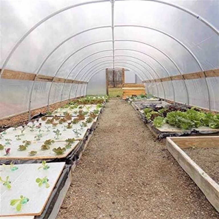 UV Treated Polythene for Greenhouse 10m - CS Agro